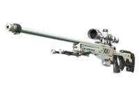 Open AWP Case - Get Top CS2 (CS:GO) AWP skins on r1-skins.com